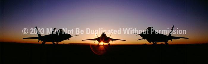 Window Graphic - 16x54 Raptor Dawn — Birds Eye Blue.com